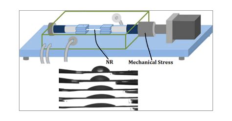 Surface Wettability Of A Natural Rubber Composite Under Stretching A Model To Predict Cell