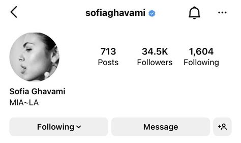 Sofia Not In Troupe Maybe A Pro But I Noticed She Removed Dwts Pro