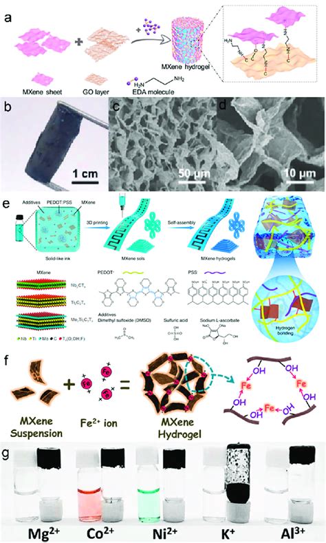 A Schematic Illustration Of The Formation Process Of Mxenegoeda Download Scientific Diagram