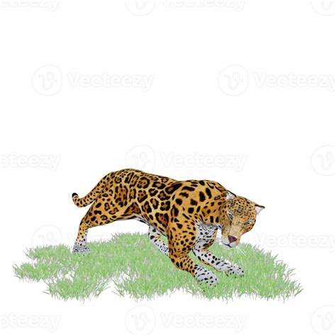 Panthera Onca Isolé 3d 28292393 Png