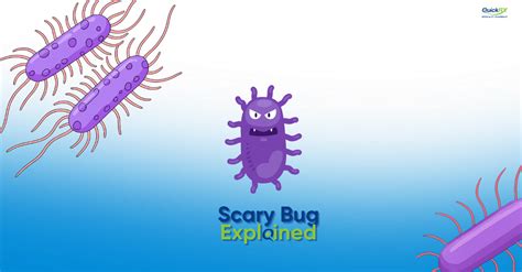 Quickrx Quickrx Why Hospitals Fear This Bacteria