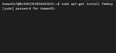 Sudo Install Femboy Blank Template Imgflip Sudo Install Femboy Blank Template Imgflip