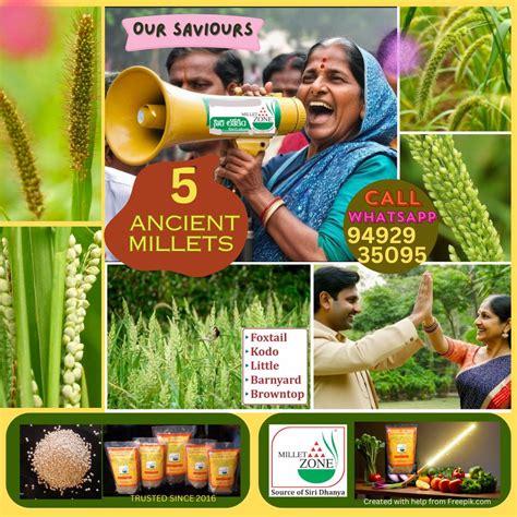 Millet The 5 Ancient Millets Are With Optimum Dietary Fibre
