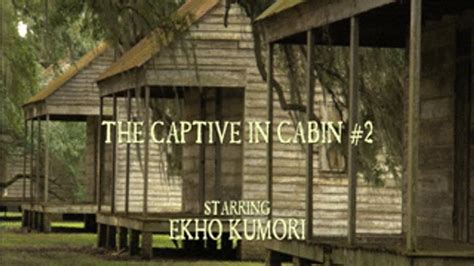 The Captive In Cabin 2 American Damsels By Jon Woods Clips4sale