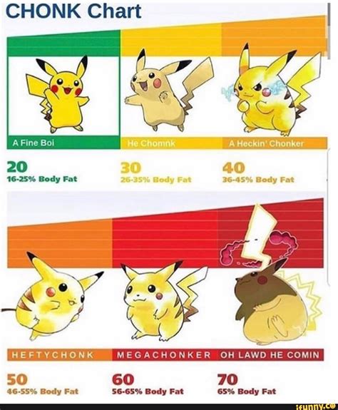 Chonk Chart Heftychonk Megachonker Ohlawdhecomin Ifunny