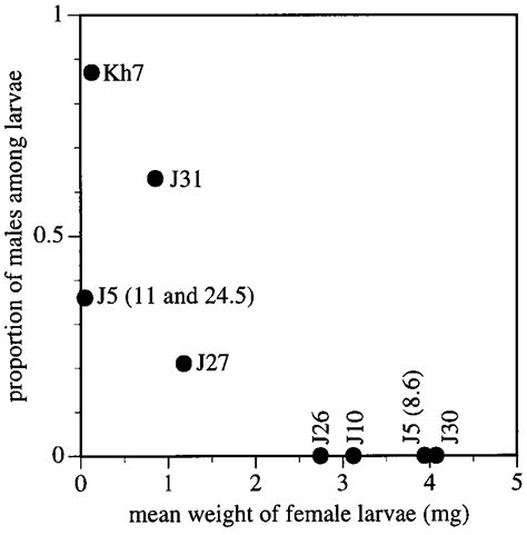 Sex Ratios Among Larvae As A Function Of Dry Weight Of Female Larvae