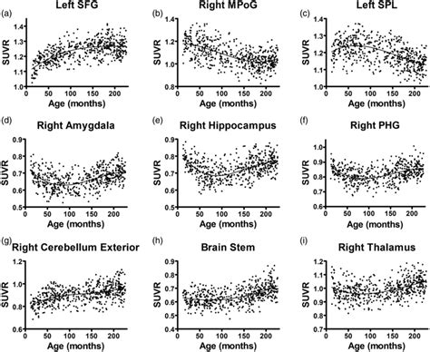 The Cubic Model For The Effect Of Age On Regional Cerebral Metabolism