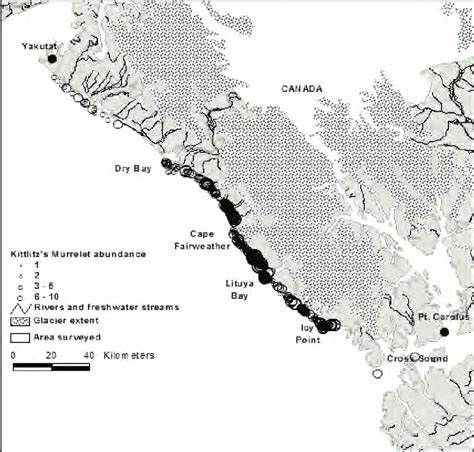 Distribution And Abundance Of Kittlitzs Murrelets Surveyed During July