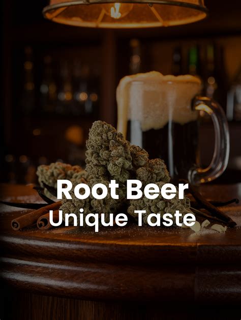 Root Beer Cannabis Strain A Different Taste Altogether