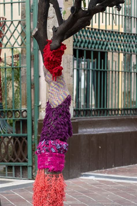 Tree Trunk Dressed With Woven Fabric Of Different Colors As Decoration