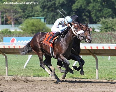 Crazy Frazy Logical Fav For Aventura Past The Wire