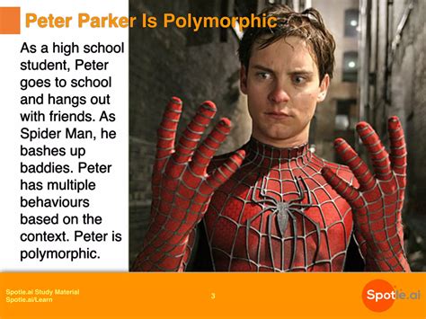 Polymorphism In Java PPT