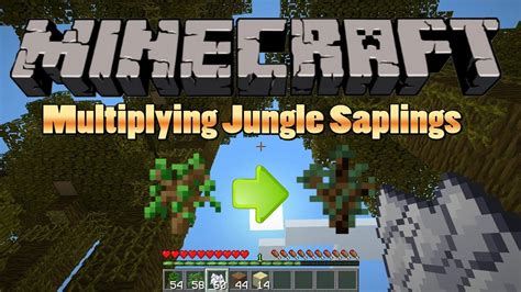 Docm77`s Minecraft Tutorial Multiplying Jungle Saplings Youtube