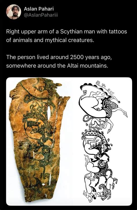 2500 Years Old Scythian Tattoo Tattoos Ancient Tattoo Funky Tattoos