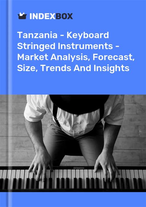 Tanzanias Keyboard Stringed Instrument Market Report 2025 Prices