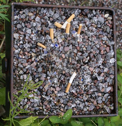 Ash Try By Katharziz On Deviantart