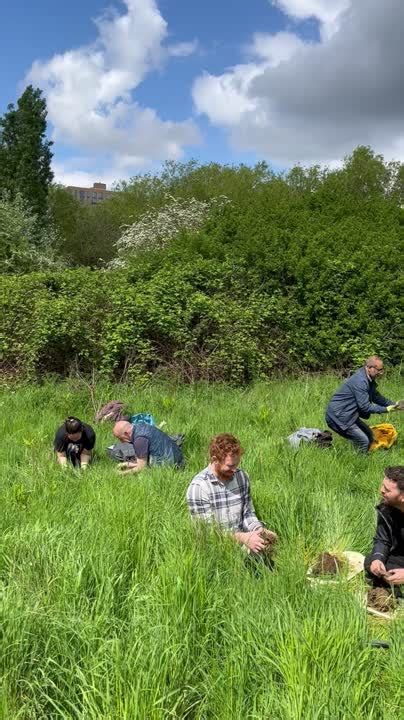 Biological Recording Company On Linkedin Earthworm Sampling Day