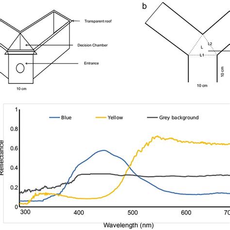 A Schematic Representation Of The Y Maze Apparatus Used In Experiments