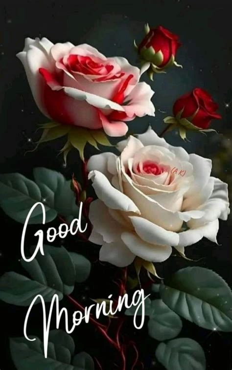 Letsconnect Letsgrowtogether Ahmad W