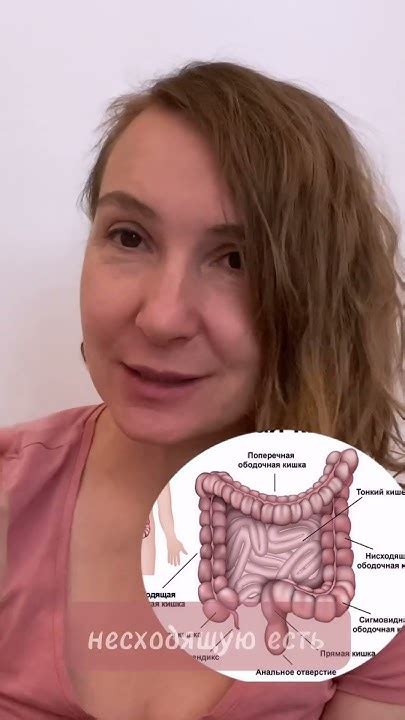 Толстый кишечник Youtube