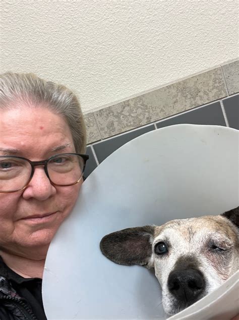 Tuples And Attributes