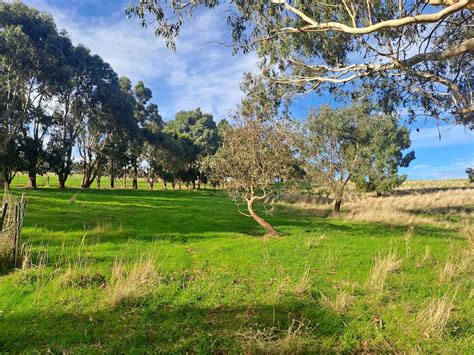Waitpinga Ridge Creek Camp Site Hipcamp In Waitpinga South Australia