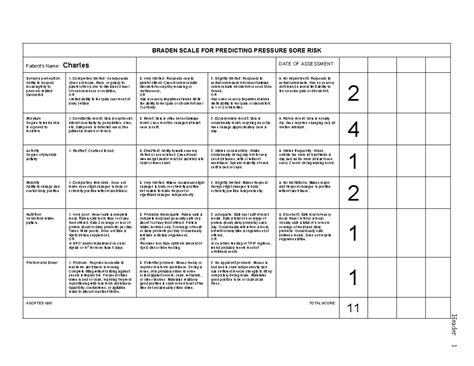 Braden Scale Risk Assessment For Patient Charles Studocu