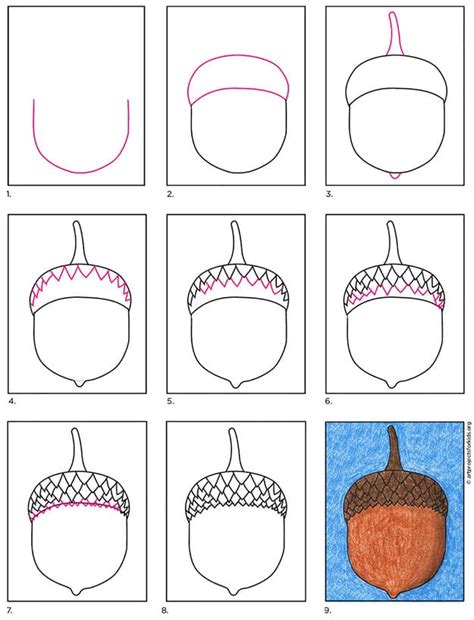 Easy How To Draw An Acorn Tutorial And Acorn Coloring Page