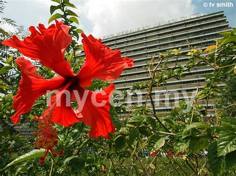 Lhdn Kompleks Bangunan Kerajaan Jalan Duta Mycen My Hotels Get A