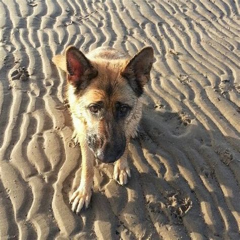 Gillian Thomson Youtube