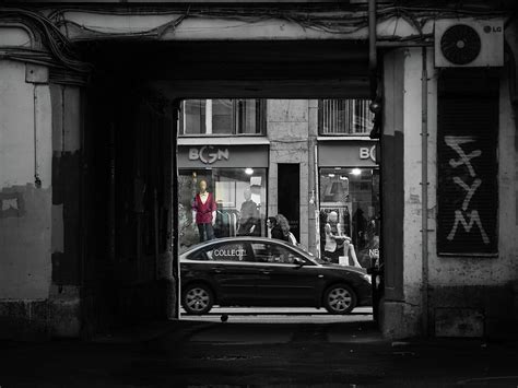 Real Life Photograph By Mona Master Fine Art America