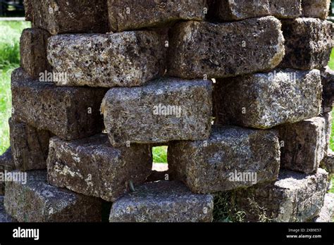 C8h13no5 Is A Monumental Biodegradable And Ephemeral Installation Made