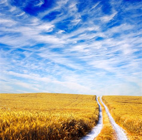 Landscape Photography Tips Institute Of Photography