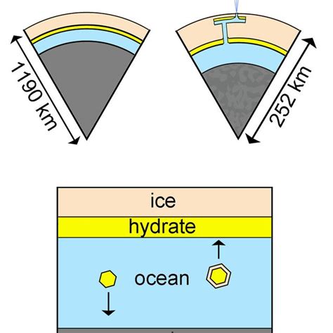 Figure Shows Schematically The Relative Size And Internal Structure Of
