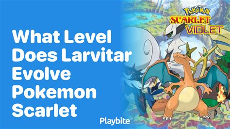 What Level Does Larvitar Evolve In Pokemon Scarlet Playbite