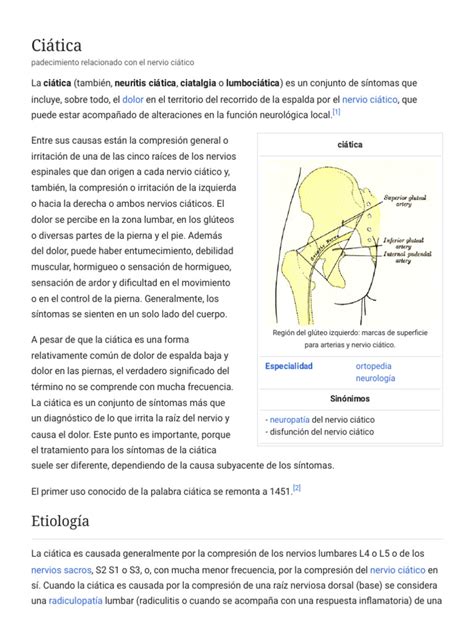 Causas Y Síntomas De La Ciática Pdf Especialidades Medicas