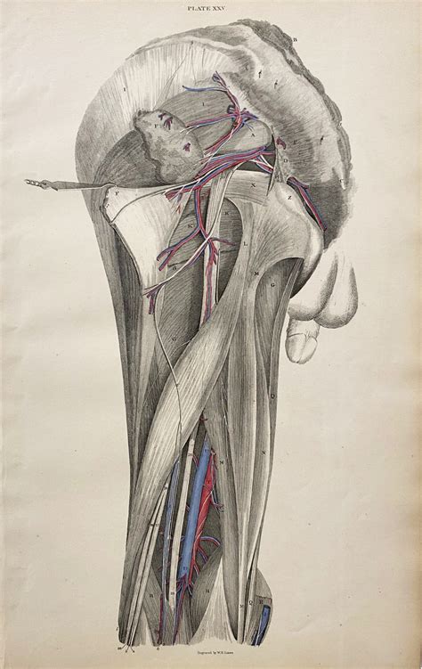 Lizars Plate 025 Trowbridge Gallery