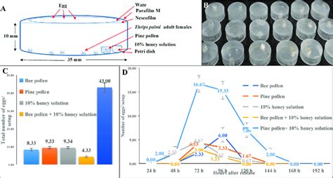 Egg Laying Of Thrips Palmi In Artificial Oviposition Setup A Design
