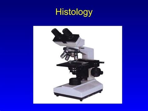 Lesson4 Cell Modifications Pptx