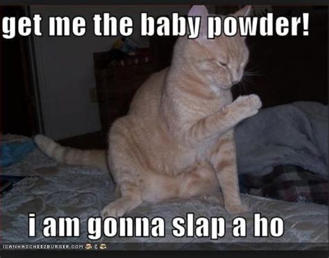 Powder Slap Memes