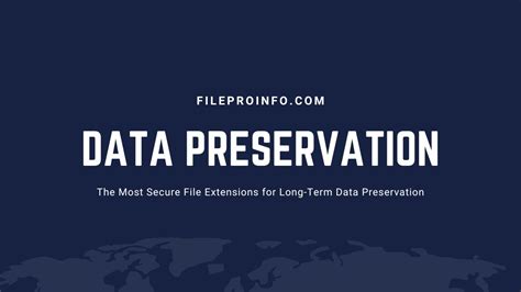 The Most Secure File Extensions For Long Term Data Preservation