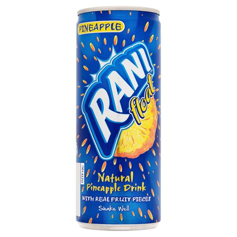 Rani Float Natural Pineapple Drink 240ml Fruit Juice Iceland Foods