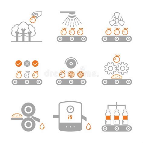Processo De Fabricação De Sumos Infográficos Fases Do Processo De