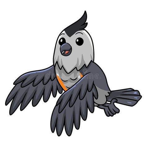 Cute Black Crested Titmouse Stock Illustrations 25 Cute Black Crested Titmouse Stock