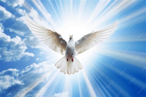 Paloma Blanca De La Paz Volando En El Cielo Azul Con La Luz Del Sol
