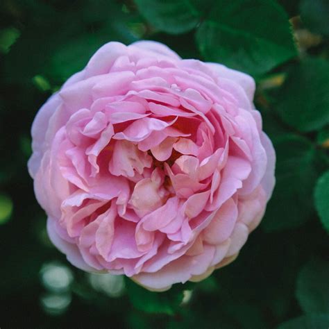 Jinsi Ya Kupenda Mwanamke Tanzania