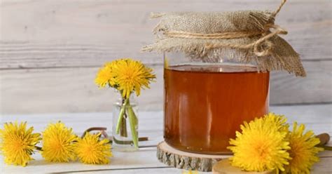 Cómo Preparar La Infusión De Diente De León La Planta Que Limpia El Hígado Le Ayuda A
