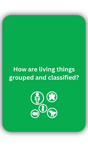 Science Overview Year 6 The Learning Challenge Curriculum