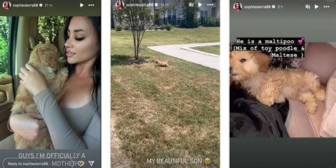 90 Day Fiancé Sophie Sierra Announces Shes Become A Mother