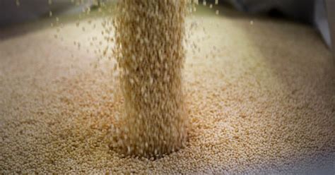 Novamont Will Double Biopolyester Production In 2018 Plastics News